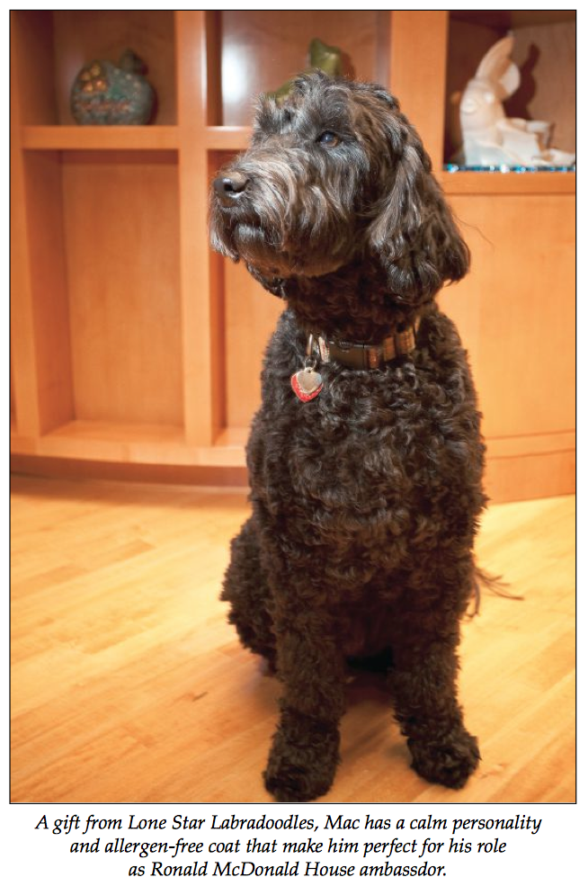 Lone Star’s Stars of Service - Lone Star LabradoodlesLone Star Labradoodles